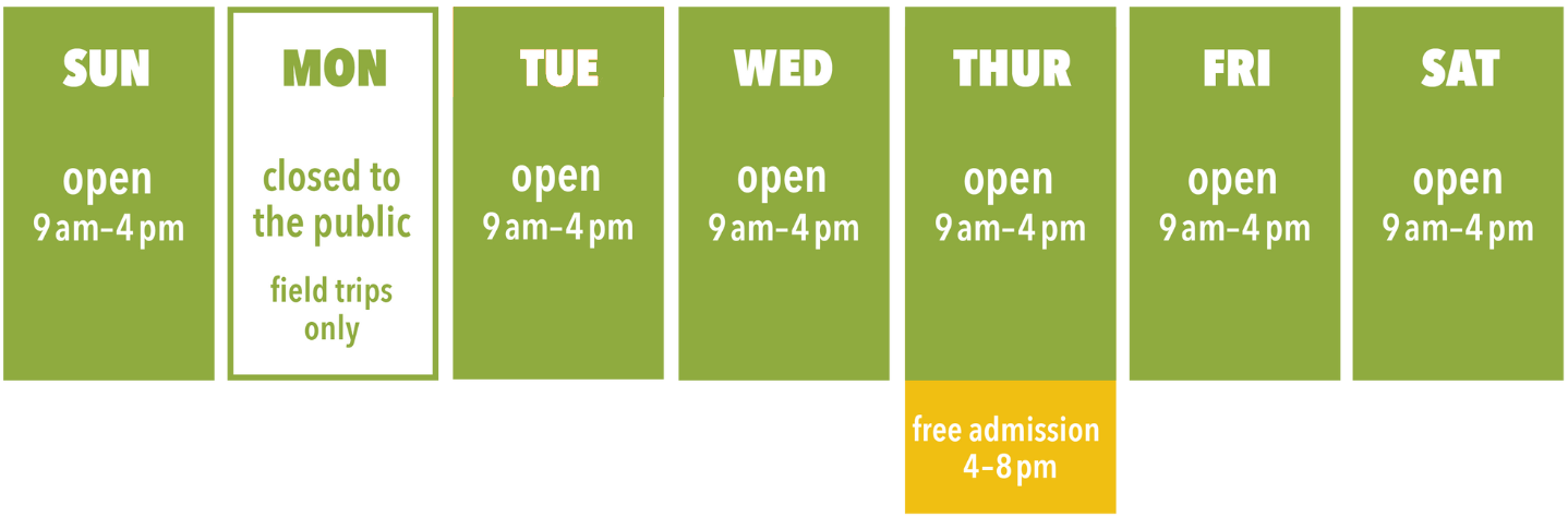 Visiting Hours, Seasonal Schedule | Madison Children's Museum