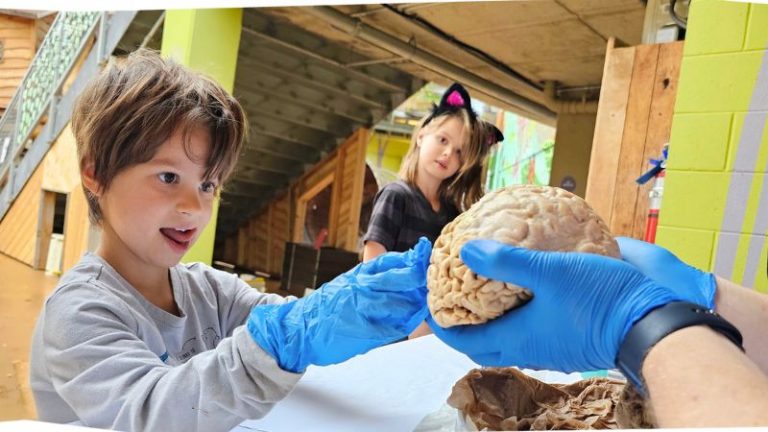 Free Night: Science on the Square | Madison Children's Museum